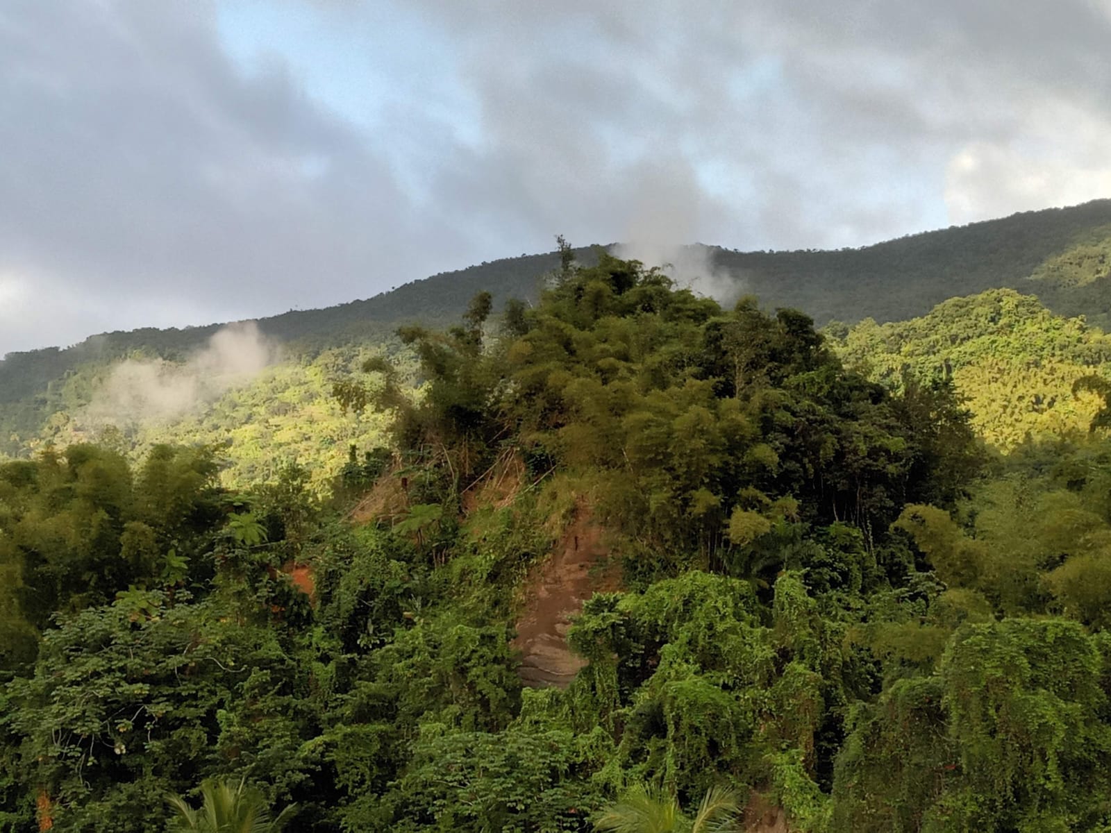 Rio Grande Valley, Comfort Castle, Portland, Jamaica